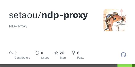 github setaou ndp proxy ndp proxy