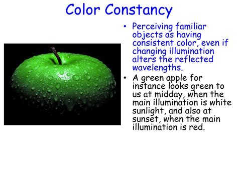 Sensation Sensation Detecting Stimuli From The Body Or Surroundings