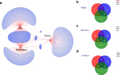 A Network Like Venn Plot Of Microbial Communities Across Biotopes Of
