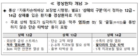 내년부터 바뀌는 자동차보험 약관 꼭 확인하세요” 파이낸셜뉴스
