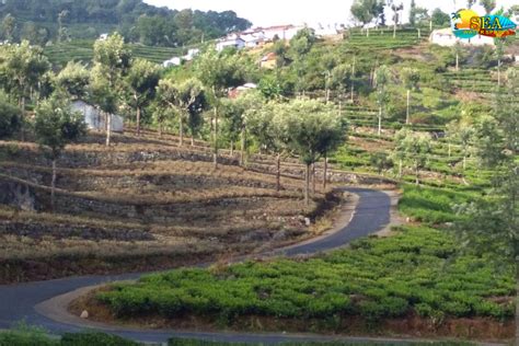 Kotagiri In Karnataka Things To Do Sea Water Sports