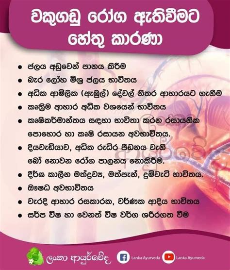 පාරුව පාරුව Added A New Photo