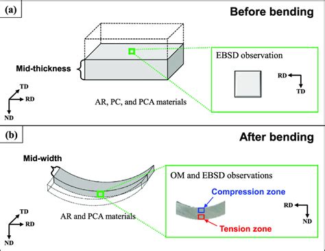 Schematic Illustration Of The Om And Ebsd Observation Positions For
