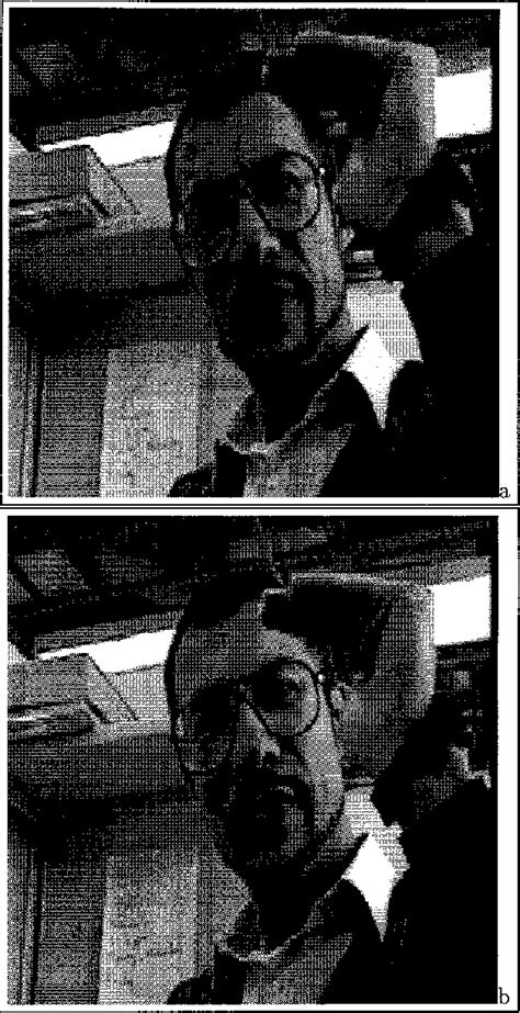 Figure 3 From Segmentation Of Moving Human Body Parts By A Modified Map Mrf Algorithm Semantic