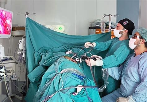 Operacija Raka Bubrega Turska