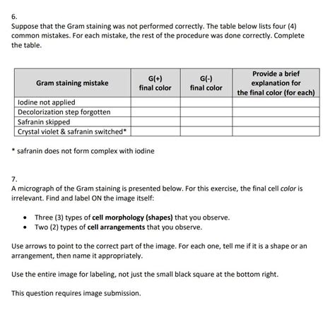 Solved Gram Staining Worksheet 1 Complete The Following