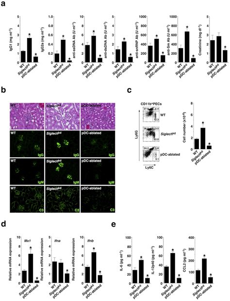 Pdcs Promote Pristane Induced Lupus Like Disease The Balbc Background