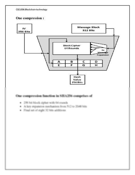 SOLUTION SHA Hash Function Notes Studypool