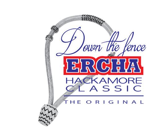 European Reined Cow Horse Association Ercha 2023 Hackamore Classic