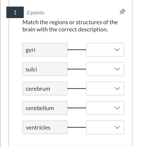 [solved] match the regions or structures of the brain with