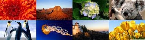 Windows 7 Nature All In One 4k Uhd Wallpaper For Ultrahd Desktop And Tv