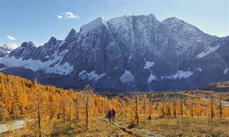 Trail Running In Golden B C Your Guide To The Purcell And Rocky