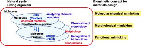 Biomimetic Concepts For Materials Design Download Scientific Diagram
