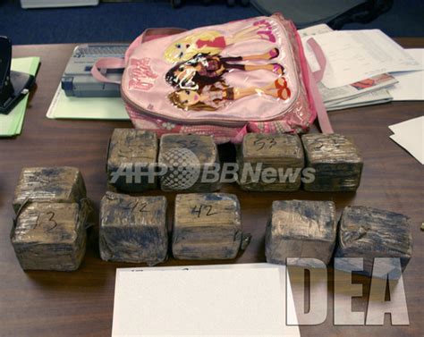 メキシコ麻薬カルテルを一斉摘発、米19州で303人逮捕 写真5枚 国際ニュース：afpbb News