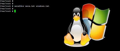 如何将文件从linuxunix格式转换为windows，反之亦然 极客指南