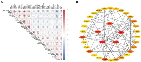 Correlation And Proteinprotein Interaction Ppi Analysis Of