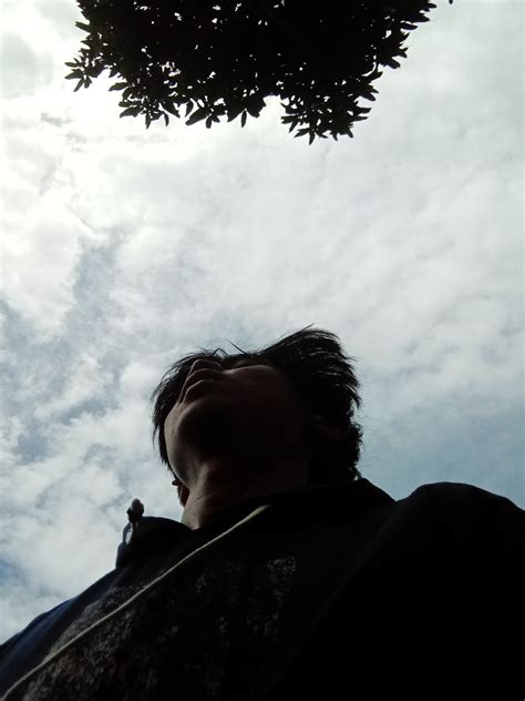 My Portfolio Rifal
