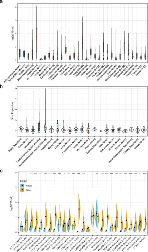 Osm Expression In Cancer Tissues And Normal Tissues A Violin Plots Of Download Scientific