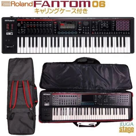 Roland Fantom 06 W Soft Case Roland Phantom Workstation Synthesizer 61