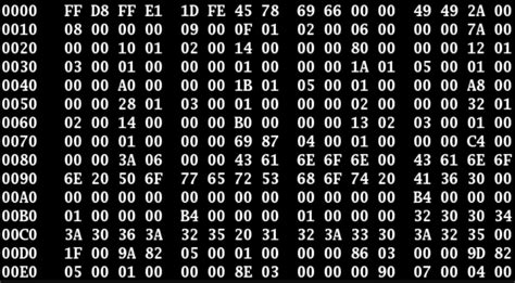 ¿qué Es Compilación Y Cuál Es El Rol De Los Compiladores Alura Cursos Online