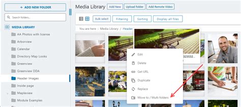 Assigning An Image To Multiple Folders Civic Clarity