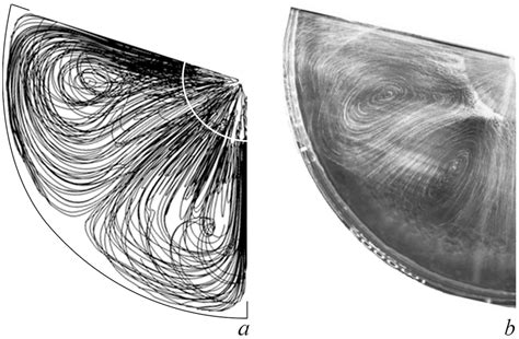 Streamlines Projections In Partially Closed Cavity A For A 22 × 10