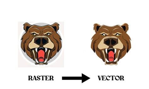 do vector tracing and convert raster to vector by faiquakhan fiverr