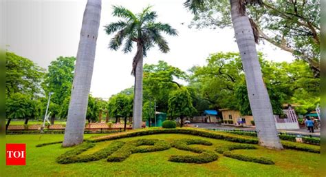 UPSC CSE 2023 Top 10 4 Out Of Them Are From DU Check The Educational Backgrounds Of Toppers