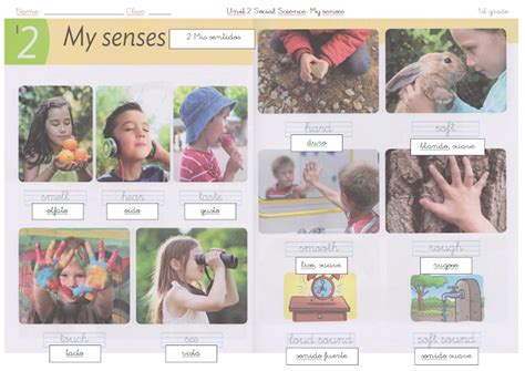 First Grade Stuff Unit 2 Natural Sciencemy Senses