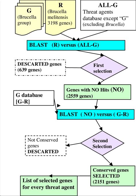 Scheme Of Gene Selection Download Scientific Diagram