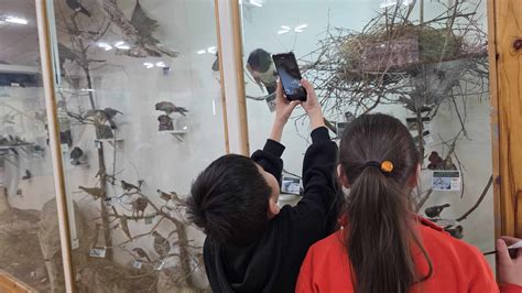 Hanns Seidel Foundation Hanns Seidel Foundation Mongolia