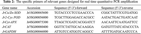 Phyton Free Full Text The Physiological And Molecular Responses Of Exogenous Selenium To