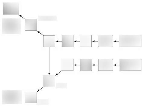 Résumé Cortex Visuel Diagram Quizlet