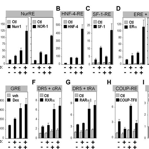 nuclear receptor selectivity of rb enhancement rb synergizes with