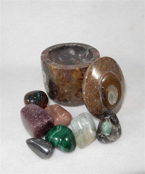 Ammonite Fossil Box With Stones Moon Soul Magic