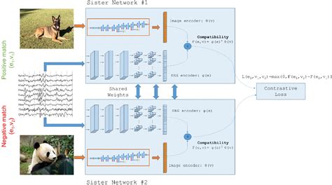 Figure 1 From Decoding Brain Representations By Multimodal Learning Of