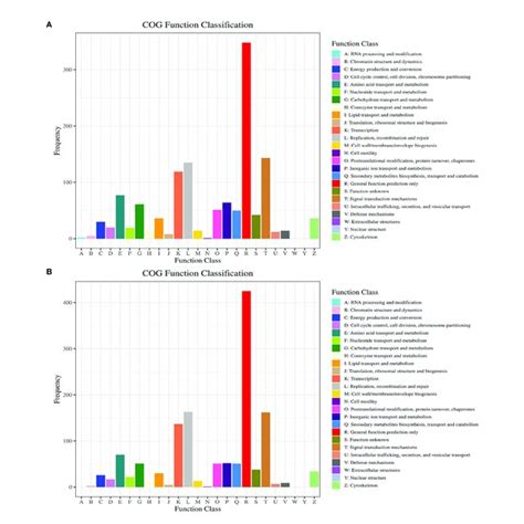 cog classification of degs from control treatment and rescue groups
