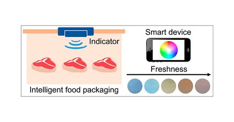 Boosting Food System Sustainability Through Intelligent Packaging