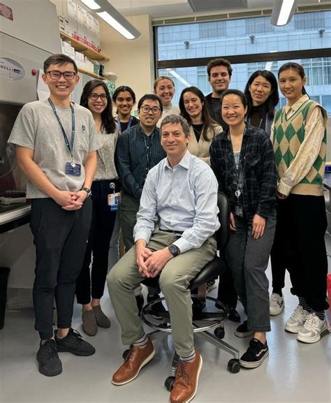 Davids Lab Translational Cll Research Home