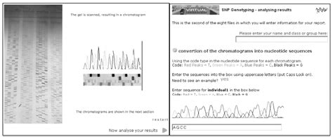 animation of method of data generation and analysis and interpretation of