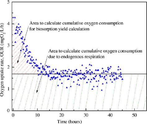 The Measurement Of Ex Situ Oxygen Uptake Rate Our Of High Rate Sludge Download Scientific