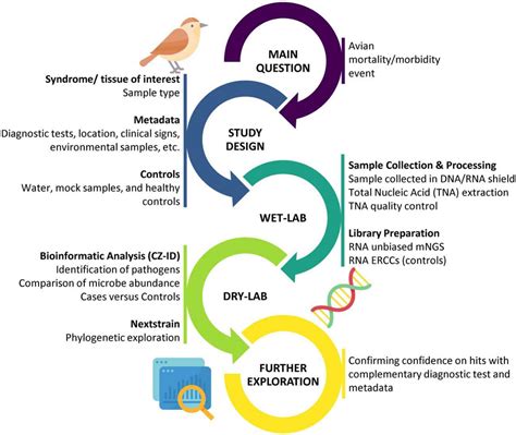 Metagenomics For Pathogen Detection During A Mass Mortality Event In Songbirds