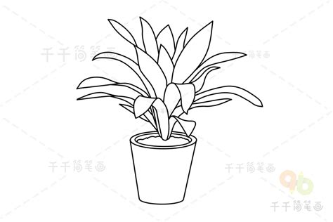 盆景怎么画简笔画 简单盆景怎么画 盆景怎么画 大山谷图库