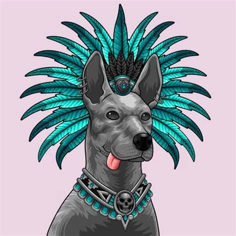 Generate Metadata And Render D D Nft Collection In Blender Rendering Collection Sketches