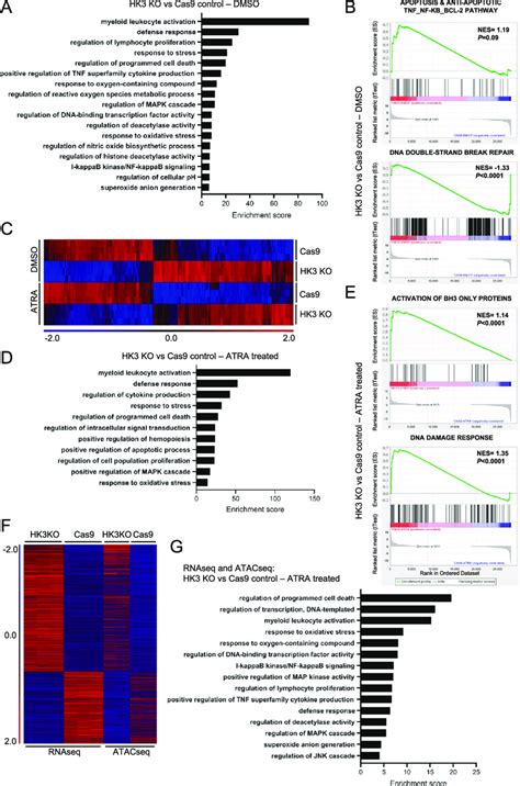 Rnaseq And Atacseq Analysis Reveal Enrichment And Increased Download Scientific Diagram