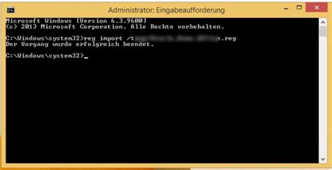 Registry Key über Eingabeaufforderung Batch eintragen