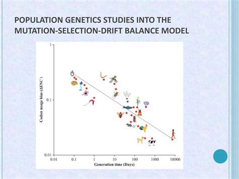 Codon Bias Pptx