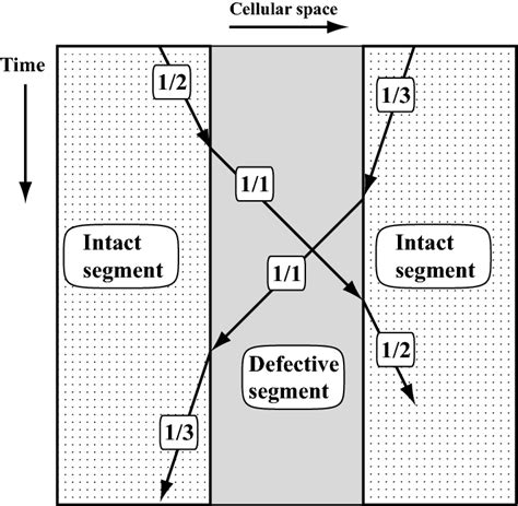 In Defective Segments Any Signal Is Transmitted At A Constant Speed 1