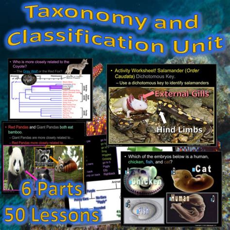 Taxonomy And Classification Entire Unit 6 Parts