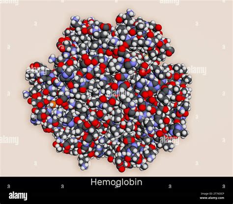 Hemoglobin Haemoglobin Hb Or Hgb Molecule It Is Blood Protein